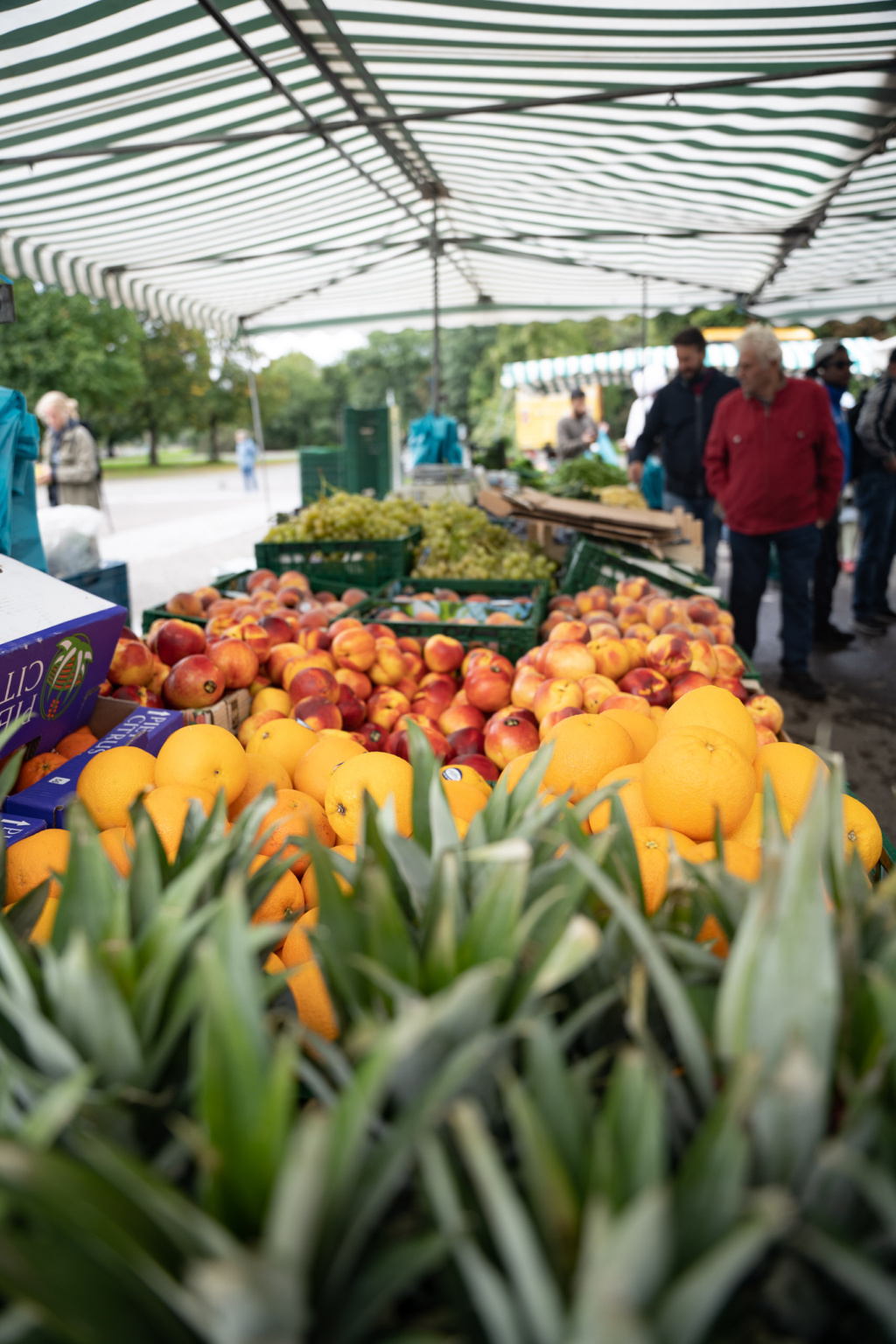 Markt am Sportforum Leipzig Wochenmarkt Verbrauchermarkt