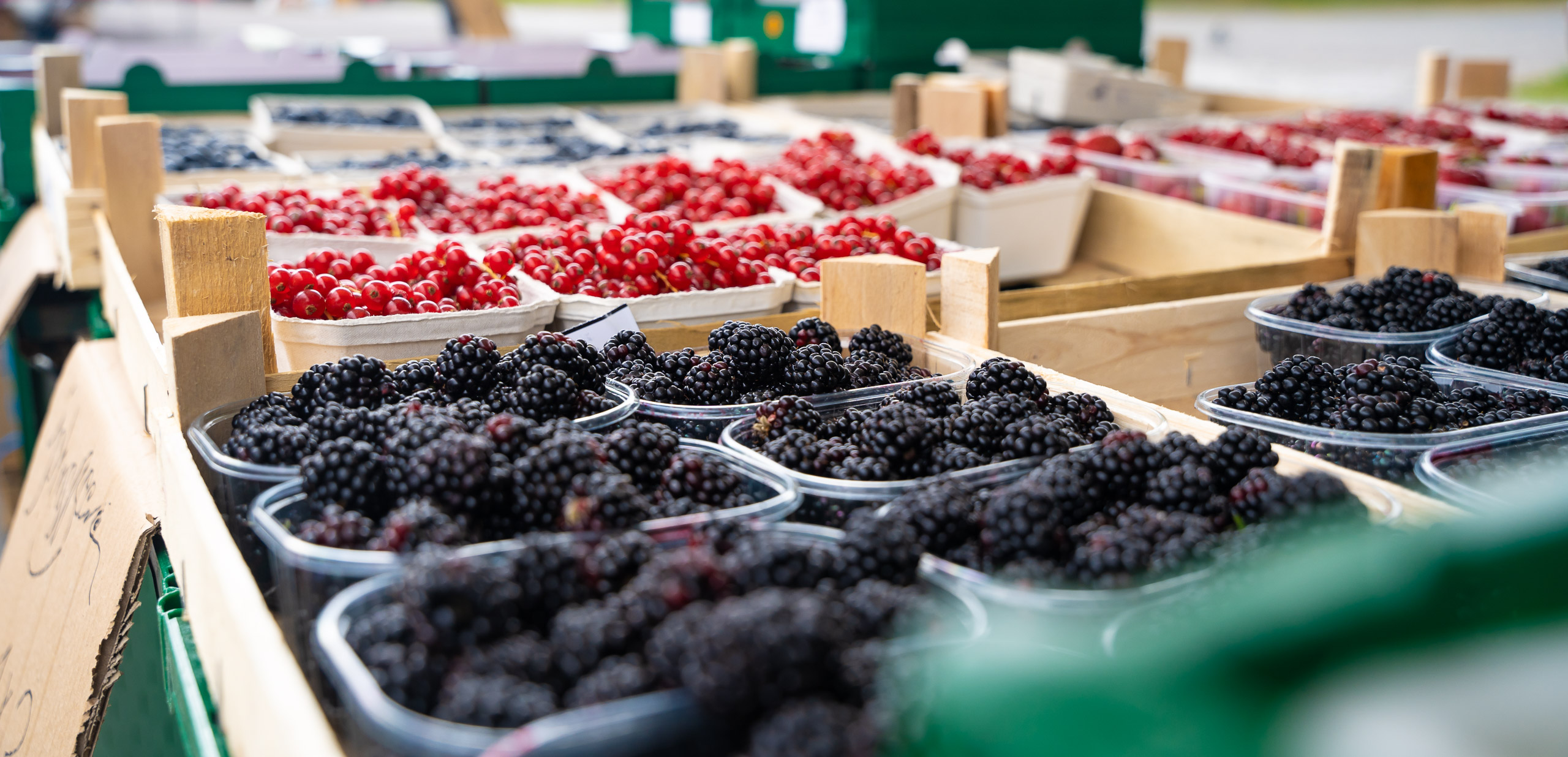 Markt am Sportforum Leipzig Wochenmarkt Verbrauchermarkt