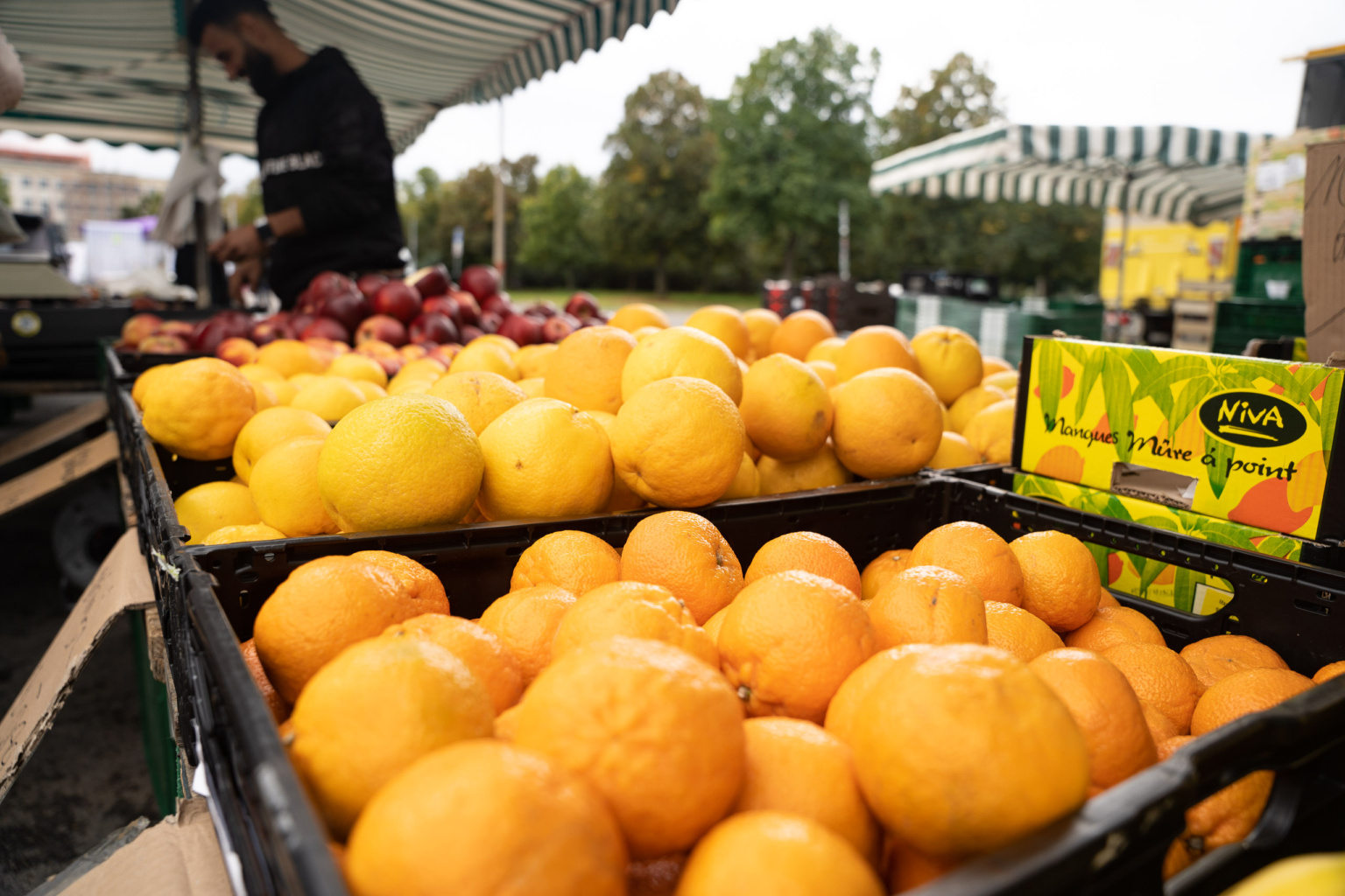 Markt am Sportforum Leipzig Wochenmarkt Verbrauchermarkt